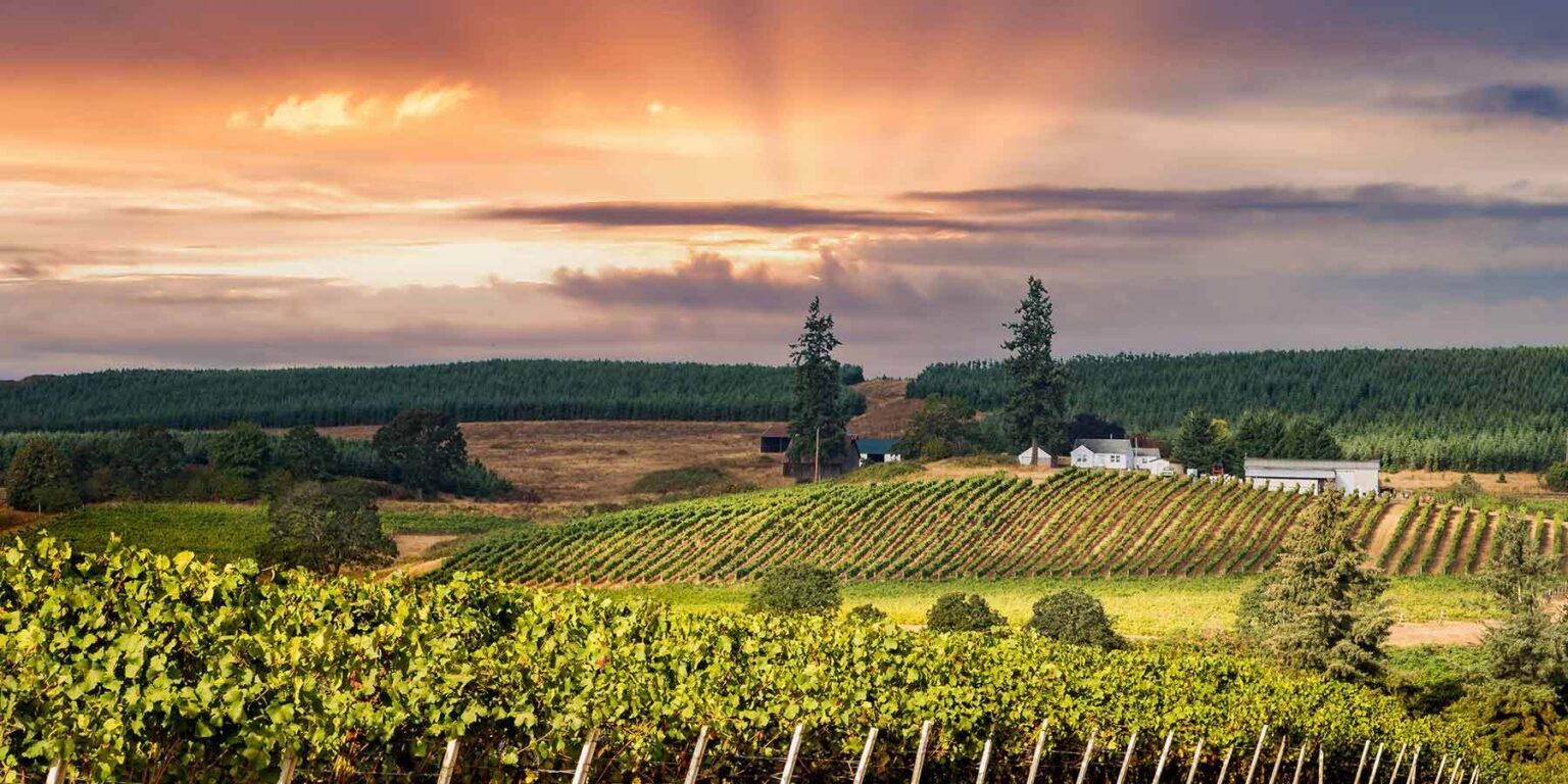 Hello, Avelo! Avelo Airlines Announces Exclusive Nonstop Service to Las ...